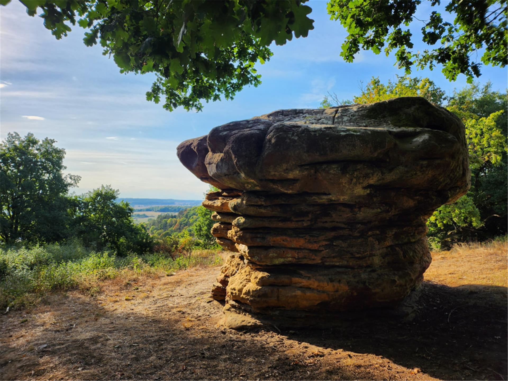 Tageblatt.lu | Sommerserie | Unsere Lieblingsorte (14): Der Champignon ...