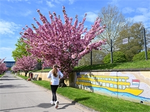 Tageblatt.lu | Klimabericht | Der Frühling in Luxemburg war zu warm, zu ...