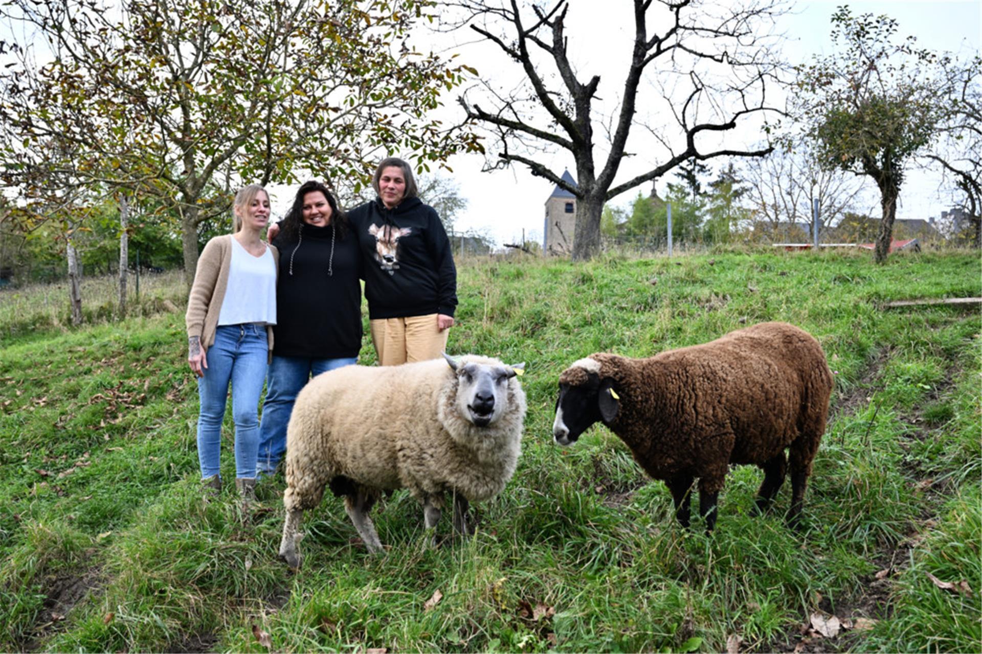Tageblatt.lu | Frida Asbl | Tierschutzverein stößt an seine Grenzen ...