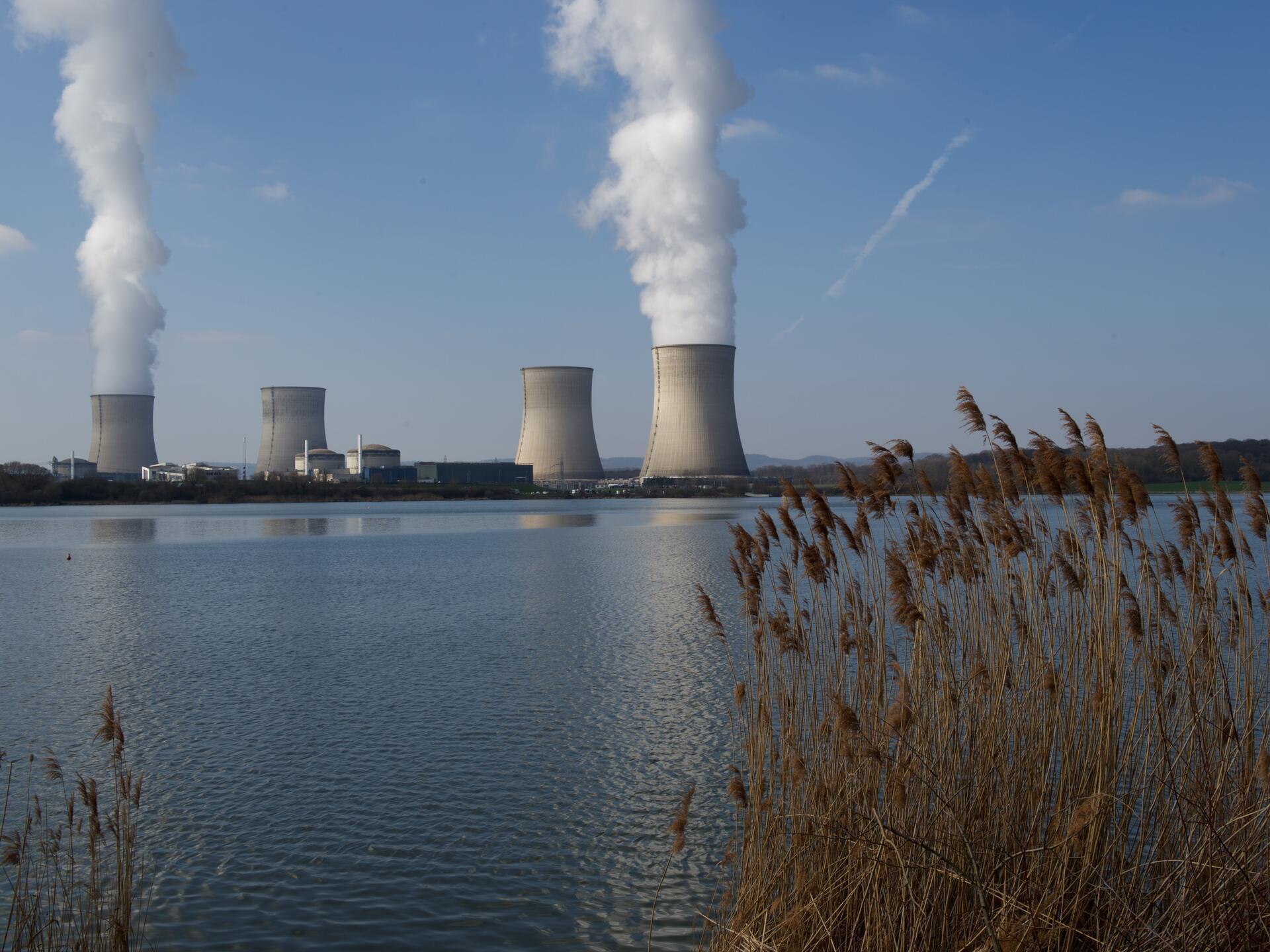 Tageblatt.lu | Editorial | Von Amöben im Atomkraftwerk: Gegen Cattenom ...