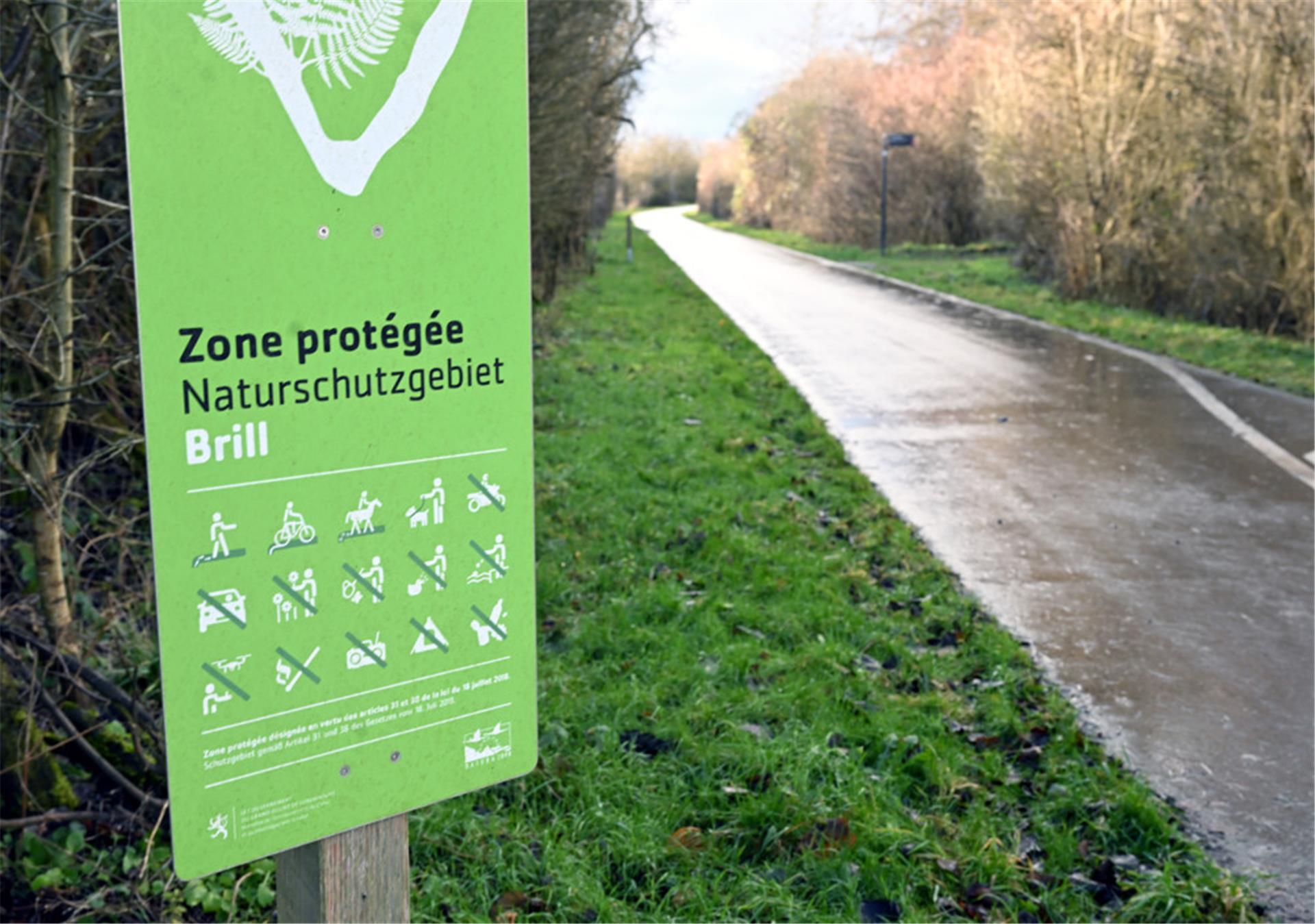 Tageblatt.lu | Gemeinderat | Schifflingen macht den Anfang: Zwei von 50 ...